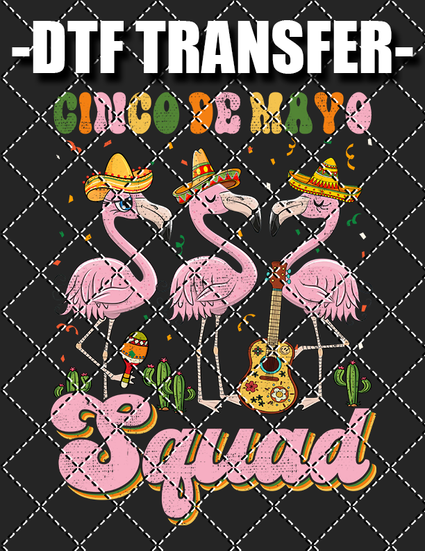 Cinco De Mayo Squad - DTF Transfer (Ready To Press)